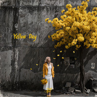 Yellow Day MP3 Song Download: Play & Download New Yellow Day MP3 Song ...