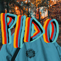 Pido Song Download: Play & Listen Pido Spanish MP3 Song by TTIMO @Gaana