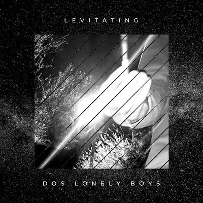 Levitating Song|Dos Lonely Boys|Levitating| Listen to new songs and mp3 ...