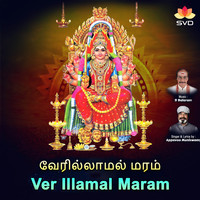 Ver Illamal Maram Song Download: Play & Listen Ver Illamal Maram Tamil ...