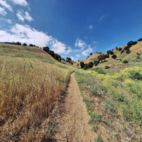 Progress Songs Download: Play & Listen Progress all MP3 Song by ...