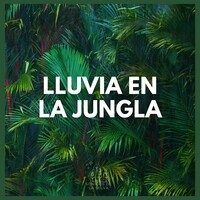 Lluvia en la Jungla (P56) MP3 Song Download: Play & Download New Lluvia ...