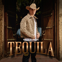 Tequila Song Download: Play & Listen Tequila Spanish MP3 Song by ...
