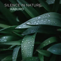 Silence in Nature Song Download: Play & Listen Silence in Nature ...