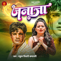 Janaja Song Download: Play & Listen Janaja all MP3 Song by Aditya Raj ...