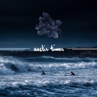 Arctic Times Songs Download: Play & Listen Arctic Times Instrumental ...