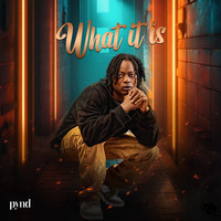 What It Is Song Download: Play & Listen What It Is all MP3 Song by PYND ...