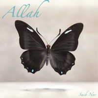 Allah Song Download: Play & Listen Allah all MP3 Song by Saib Nør @Gaana