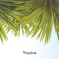 Tropica Songs Download: Play & Listen Tropica all MP3 Song by Harryson ...