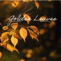 Golden Leaves Songs Download: Play & Listen Golden Leaves all MP3 Song ...