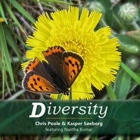 Diversity Songs Download: Play & Listen Diversity all MP3 Song by Chris ...