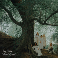 Ivy Tree Song Download: Play & Listen Ivy Tree all MP3 Song by VENUS ...