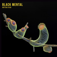 Rotten Stick Song Download: Play & Listen Rotten Stick all MP3 Song by ...