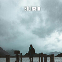 Bilirsin Song Download: Play & Listen Bilirsin Turkish MP3 Song by ...