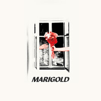 Marigold Song Download: Play & Listen Marigold all MP3 Song by Krooked ...