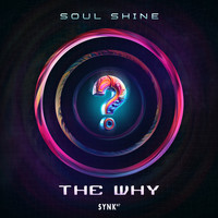 The Why Song Download: Play & Listen The Why all MP3 Song by Soul Shine ...