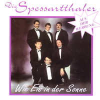 Wie Eis in der Sonne Songs Download: Play & Listen Wie Eis in der Sonne ...