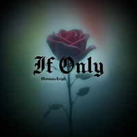 If Only Song Download: Play & Listen If Only all MP3 Song by Montana ...