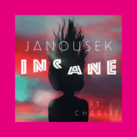 Insane Song Download: Play & Listen Insane all MP3 Song by Janousek @Gaana