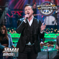 Birds (Uit Beter Dan Het Origineel) Song Download: Play & Listen Birds ...