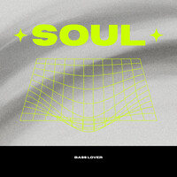 Soul Song Download: Play & Listen Soul all MP3 Song by Bass Lover @Gaana