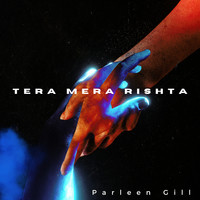 Tera Mera Rishta Song Download: Play & Listen Tera Mera Rishta Haryanvi ...