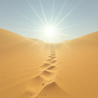 Transform Song Download: Play & Listen Transform all MP3 Song by Chatel ...