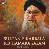 Sultan E Karbala Ko Hamara Salam MP3 Song Download: Play & Download New ...