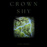 Crown Shy Song Download: Play & Listen Crown Shy all MP3 Song by Lost ...