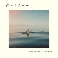 Great White Shark Song Download: Play & Listen Great White Shark all ...