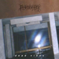 Dead Vibes Song Download: Play & Listen Dead Vibes Instrumental MP3 ...