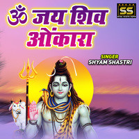 Om Jai Shiv Omkara Song Download: Play & Listen Om Jai Shiv Omkara all MP3 Song by Shyam Shastri ...