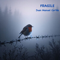 Fragile Song Download: Play & Listen Fragile all MP3 Song by Juan ...