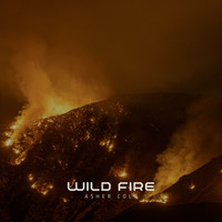 Wild Fire Song Download: Play & Listen Wild Fire all MP3 Song by Asher ...