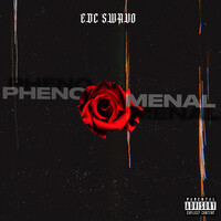 Phenomenal Song Download: Play & Listen Phenomenal all MP3 Song by EDC ...