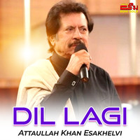 Dil Lagi Song Download: Play & Listen Dil Lagi Haryanvi MP3 Song by ...