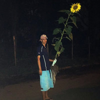 Bella Song Download: Play & Listen Bella Spanish MP3 Song by Ksepai @Gaana