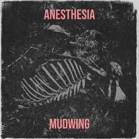 Anesthesia Songs Download: Play & Listen Anesthesia all MP3 Song by ...