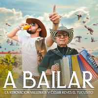 A Bailar Song Download: Play & Listen A Bailar Spanish MP3 Song by - @Gaana