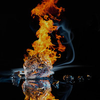 FrozenFire Song Download: Play & Listen FrozenFire all MP3 Song by ...