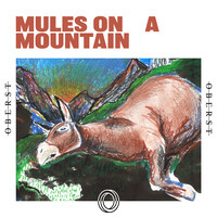 Mules on a Mountain Songs Download: Mules on a Mountain MP3 Songs ...