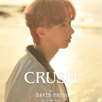 Crush Song Download: Play & Listen Crush all MP3 Song by David Crush @Gaana