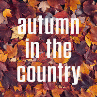 autumn in the country Songs Download: Play & Listen autumn in the ...