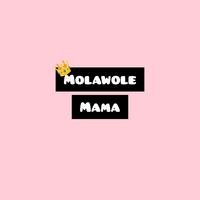 Mama Song Download: Play & Listen Mama Afrikaans MP3 Song by Rasheed Molawole @Gaana