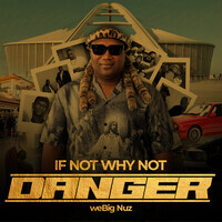 If Not Why Not Songs Download: Play & Listen If Not Why Not Zulu MP3 ...