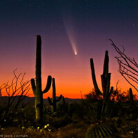 Where Is the Beacon? Song Download: Play & Listen Where Is the Beacon ...