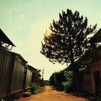 Disconnected (Unplugged) Song Download: Play & Listen Disconnected ...