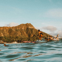 Summer Funk Song Download: Play & Listen Summer Funk all MP3 Song by ...