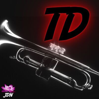 Uzi-Bearing Chimps, What to Make of the Flying Trumpets AGT Act ...