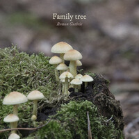 Family tree Song Download: Play & Listen Family tree Instrumental MP3 ...